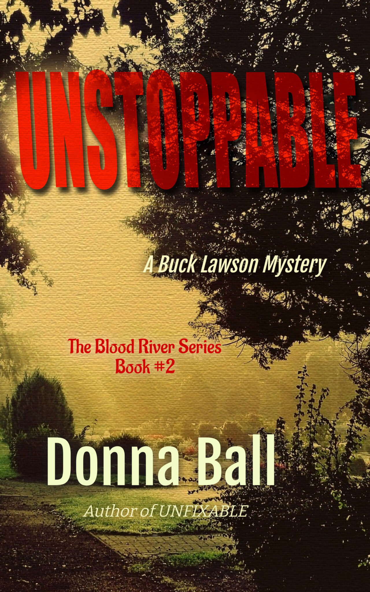 Donna Ball – "Author, Teacher"